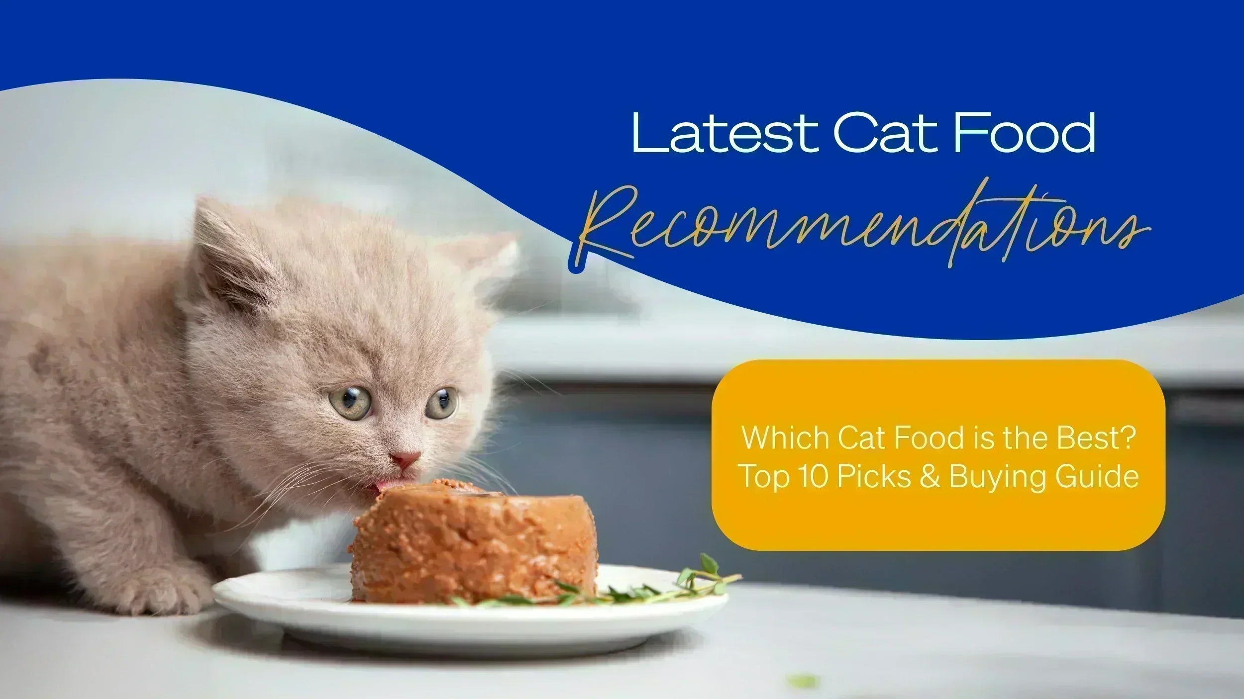 [2025 Cat Food Recommendations] Which Cat Food is the Best? Top 10 ...