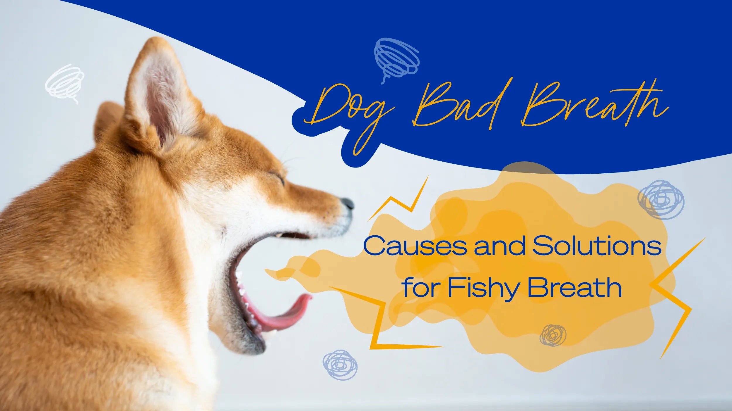 Dog Bad Breath: Causes and Solutions for Fishy Breath | Vetopia ...