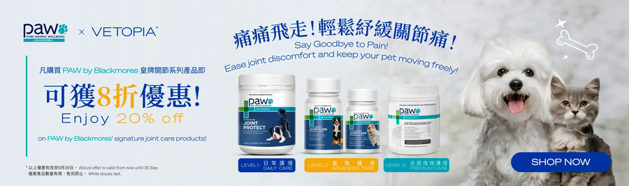 Online Pet Supplies Store | Veterinarian-Founded | Vetopia – Vetopia ...