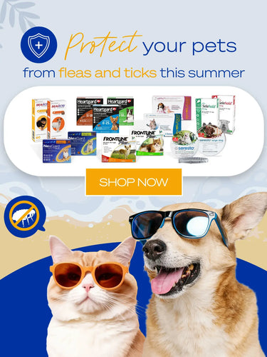 Online Pet Supplies Store | Veterinarian-Founded | Vetopia – Vetopia ...