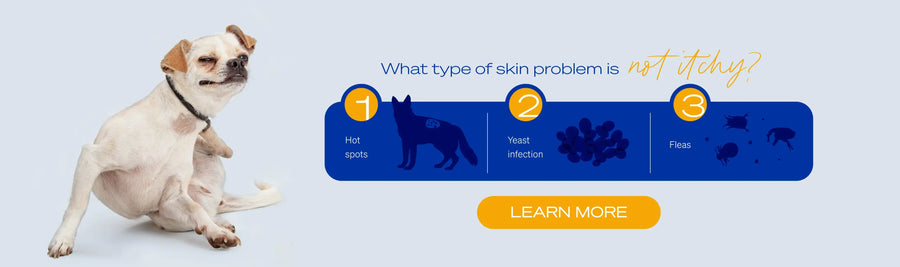 Online Pet Supplies Store | Veterinarian-Founded | Vetopia – Vetopia ...