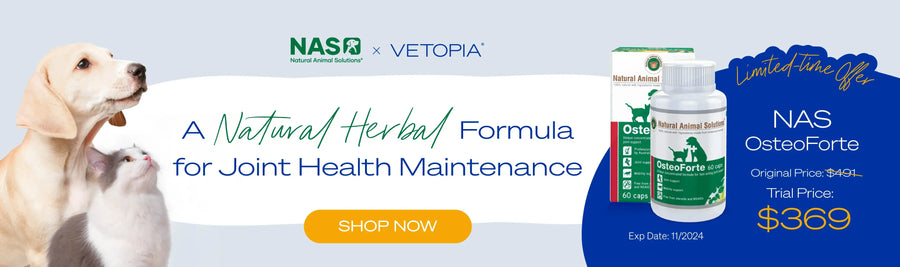 Online Pet Supplies Store | Veterinarian-Founded | Vetopia