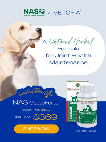 Online Pet Supplies Store | Veterinarian-Founded | Vetopia