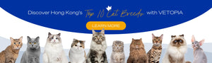 Online Pet Supplies Store | Veterinarian-Founded | Vetopia