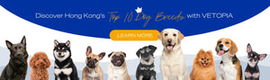 Online Pet Supplies Store | Veterinarian-Founded | Vetopia