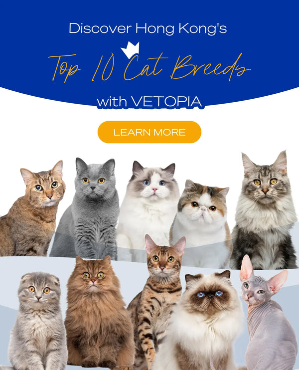 Online Pet Supplies Store | Veterinarian-Founded | Vetopia