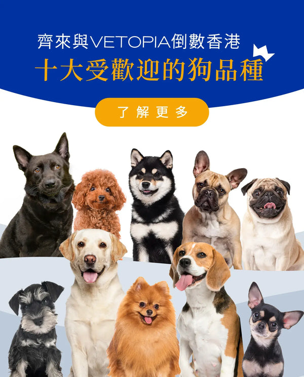 香港寵物用品網店 | 獸醫創辦｜優質貓狗食品及用品｜Vetopia