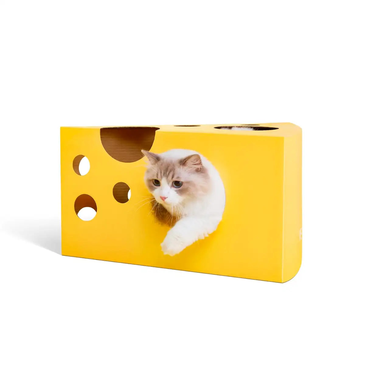 Vetreska - Cheese Cat Scratching Box – Vetopia