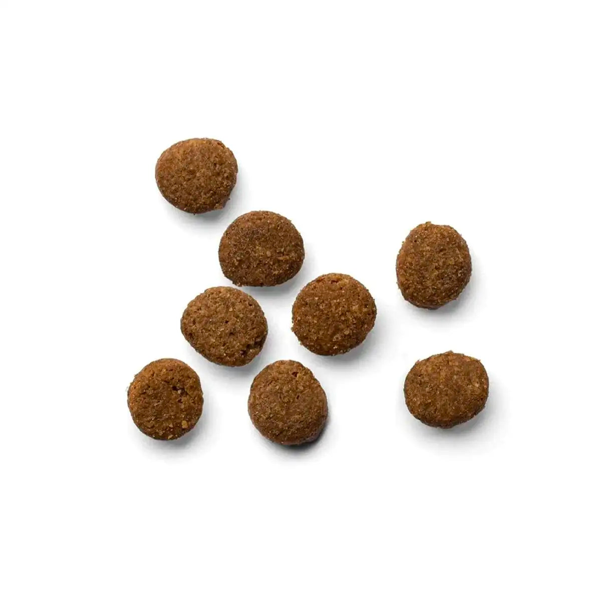 Yora - Complete Insect Based Adult Cat Food – Vetopia